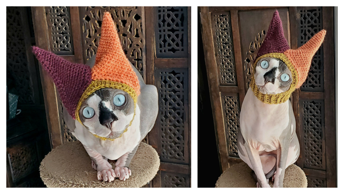 Hennin Cat Hat Free Crochet Pattern - DIY Magazine